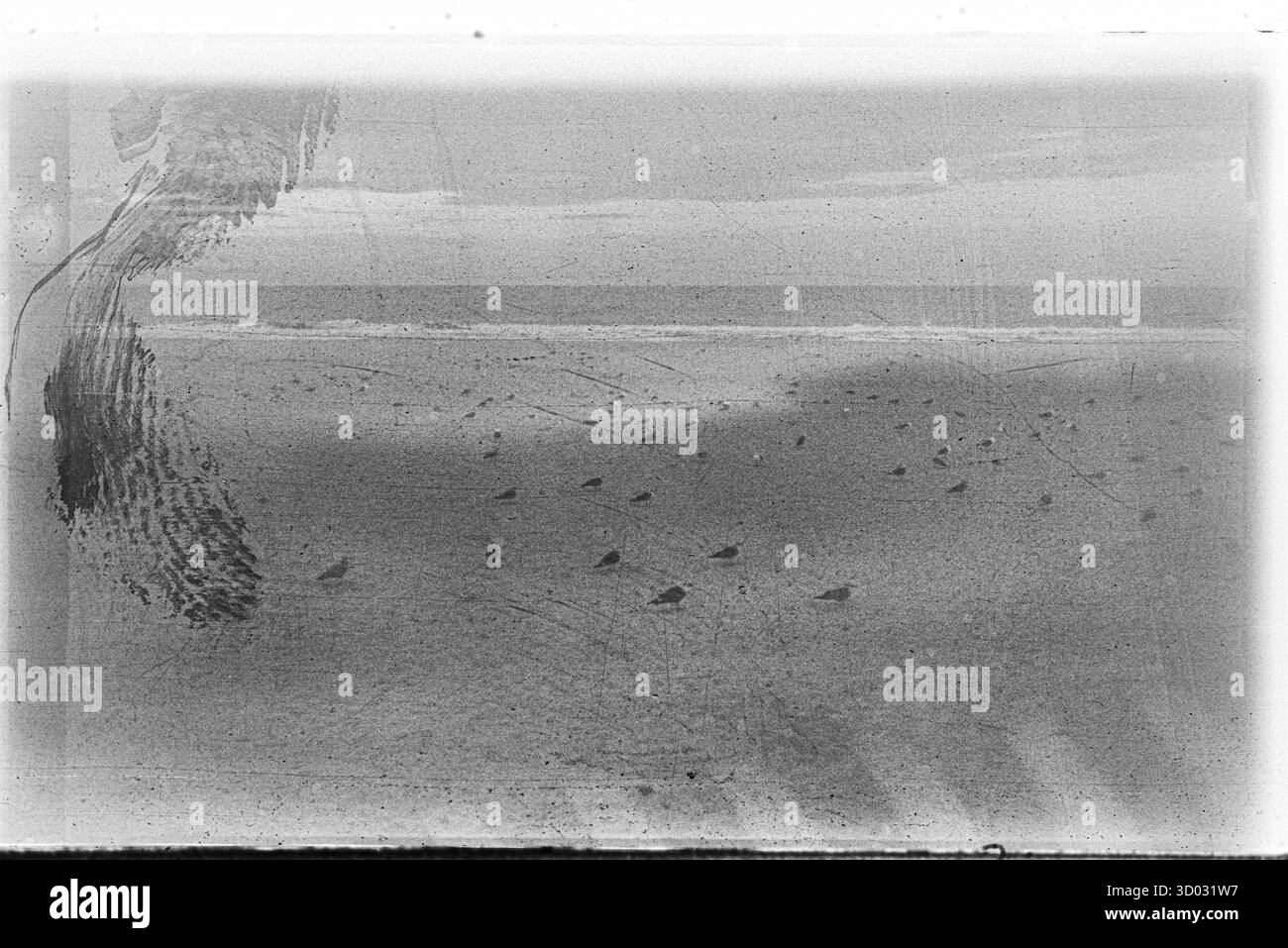 Abstract black and white photograph showing a rough, weathered surface ...
