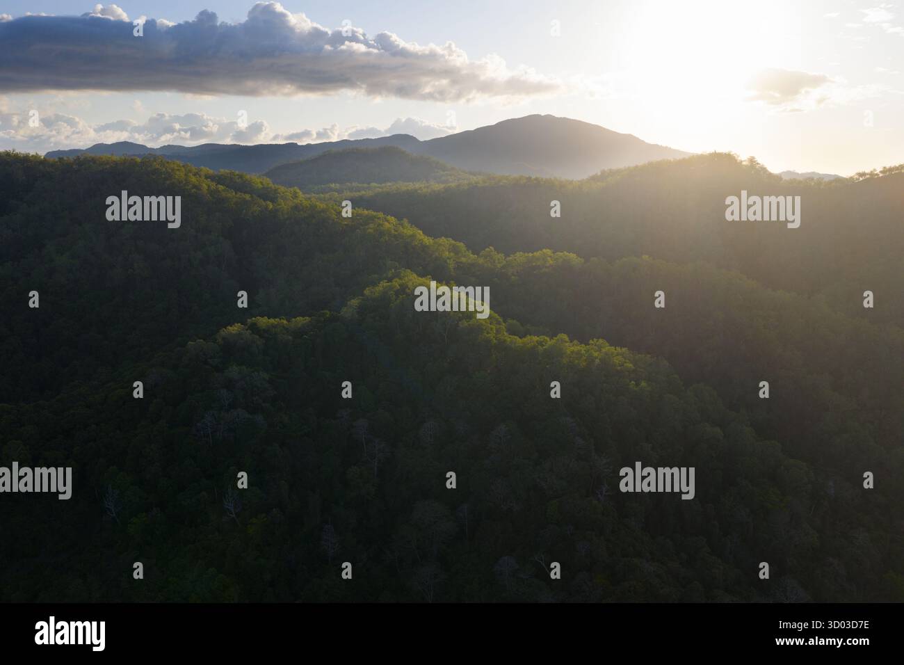 Rainforest covers the rugged landscape on Pulau Romang, a remote ...