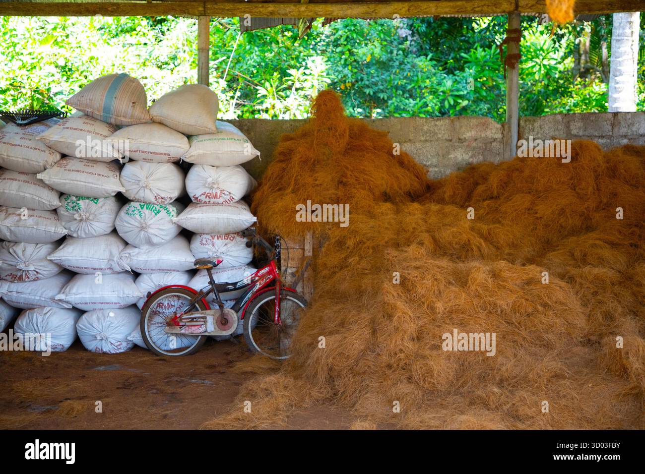 Stages of coir making hi-res stock photography and images - Alamy