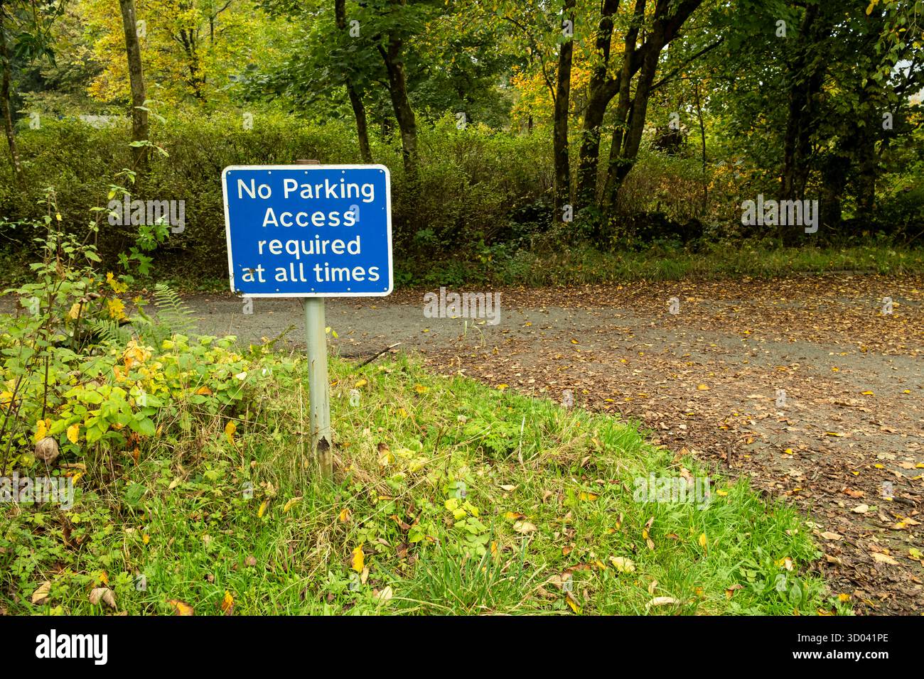 A blue "No parking Access required all the time" sign Stock Photo - Alamy