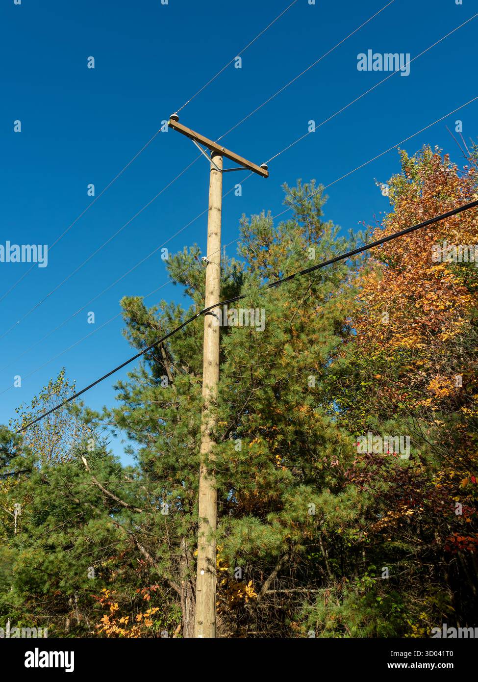 Electric power distribution pole hi-res stock photography and images ...