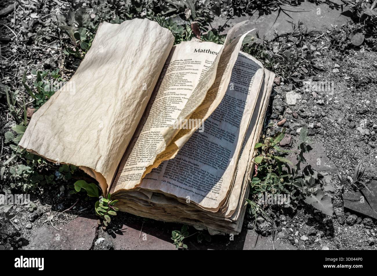 Sacred dust hi-res stock photography and images - Alamy