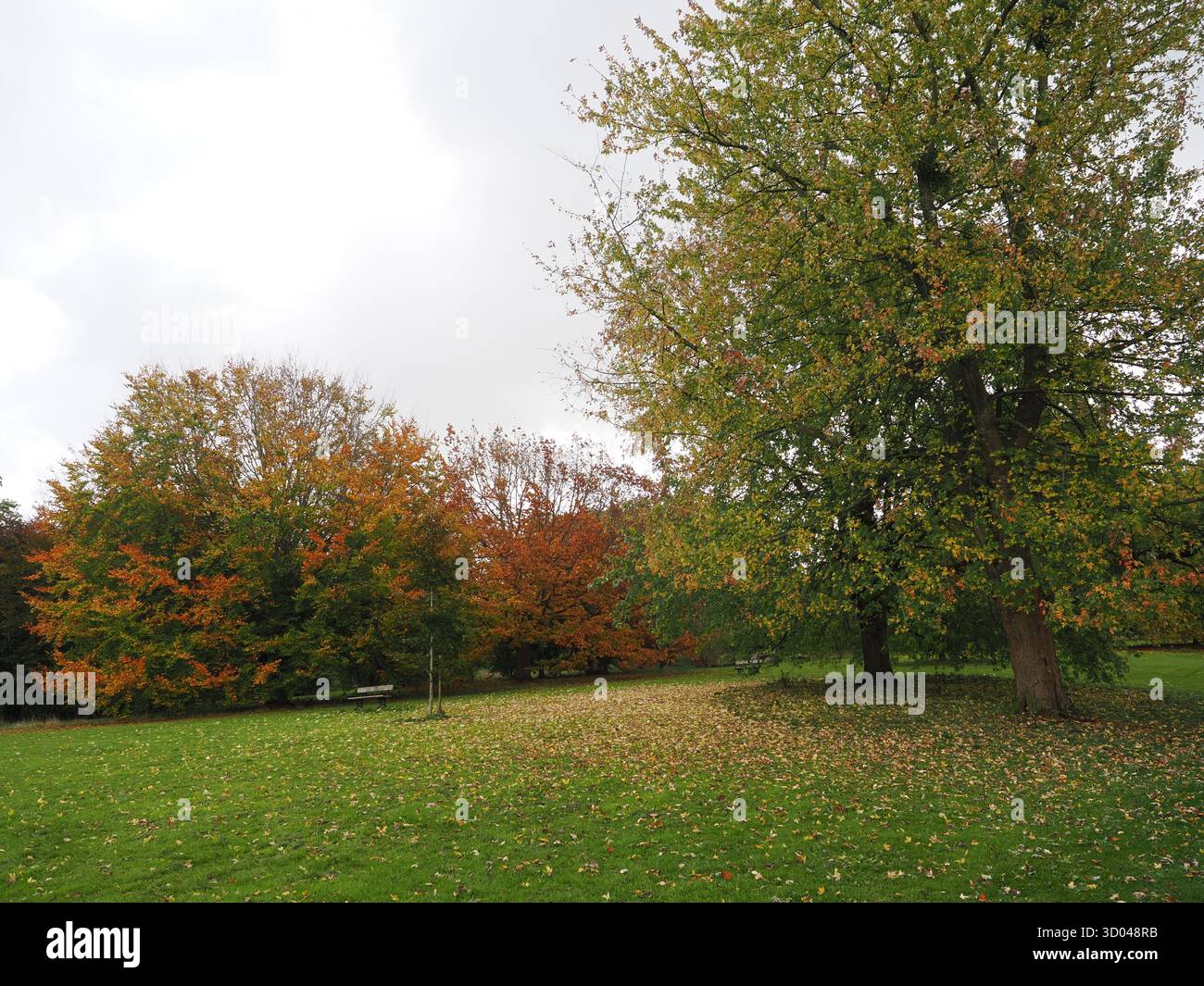 Maidstone, Kent, UK. 21st Oct, 2025. UK Weather: colourful Autumn ...