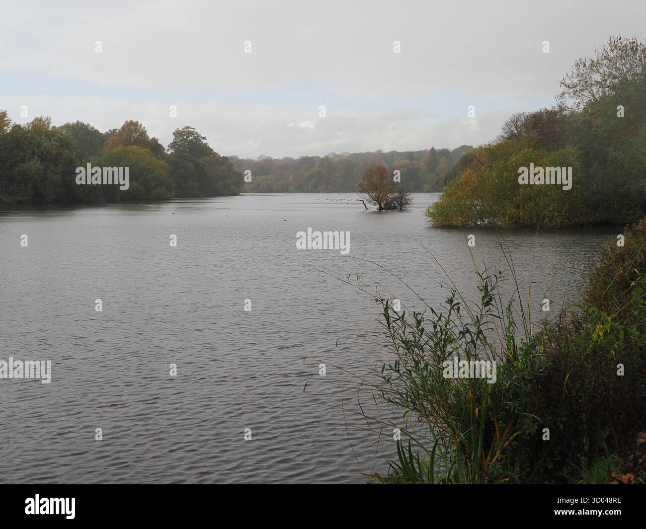 Maidstone, Kent, UK. 21st Oct, 2025. UK Weather: colourful Autumn ...
