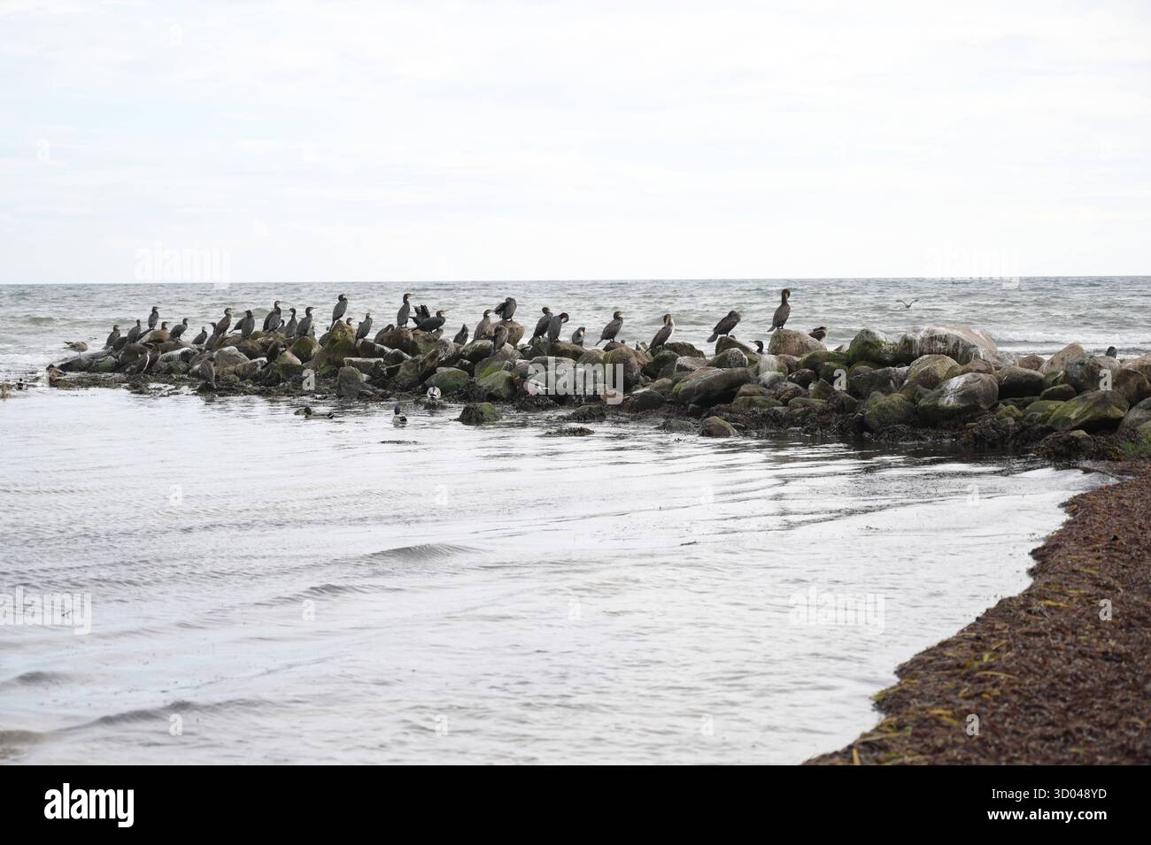 Strandurlaub in Dahme am 21.10.2025 Dahme ist eine Gemeinde im Kreis ...