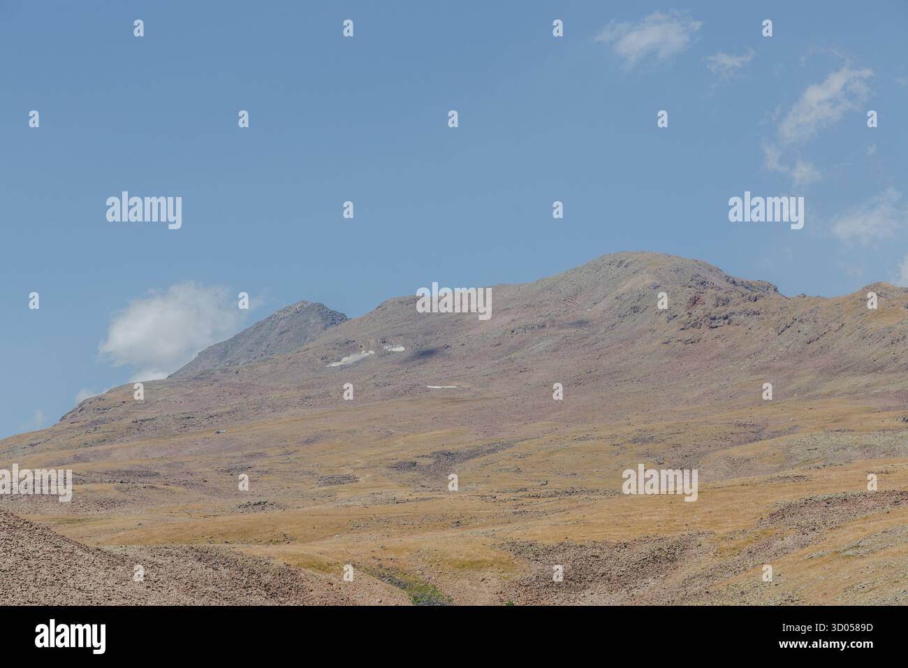 Sparse vegetation dotting hi-res stock photography and images - Alamy