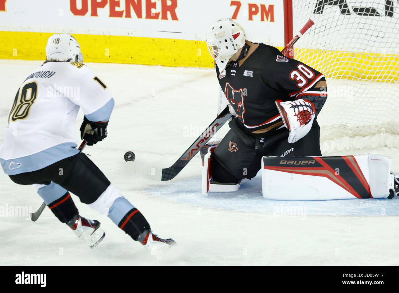 Profile photo on Calgary Hitmen goalie Aidan Hesse, rt, stoppig a shot ...