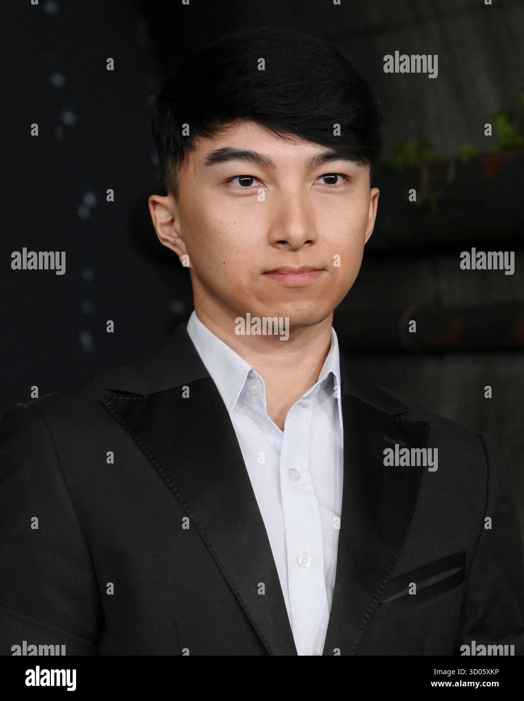 October 20, 2025, Burbank, California, USA: NHUT LE attends HBO's ...