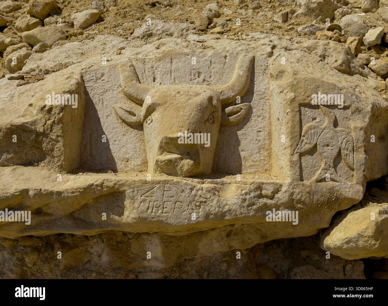 Crete bird carvings hi-res stock photography and images - Alamy