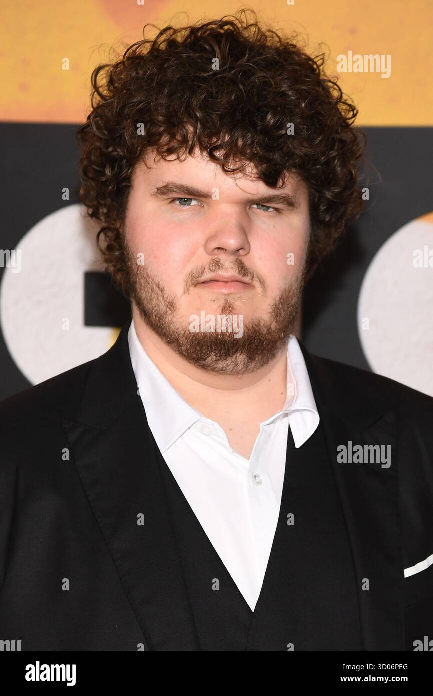 New York, USA. 21st Oct, 2025. Aidan Delbis attends Focus Features ...