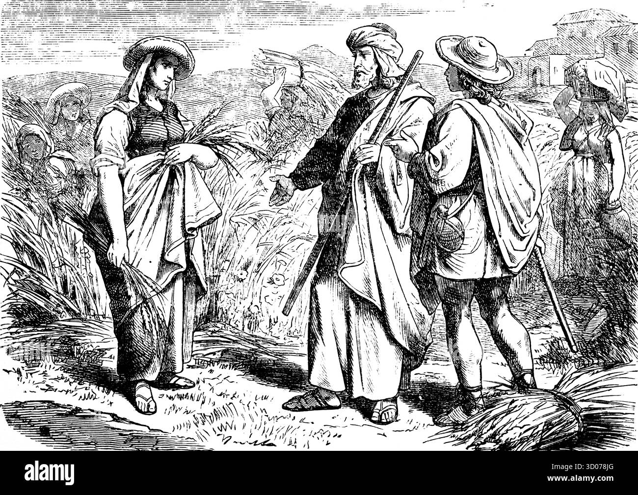 Ruth talks to Boaz and helps with the grain harvest, field, book of ...