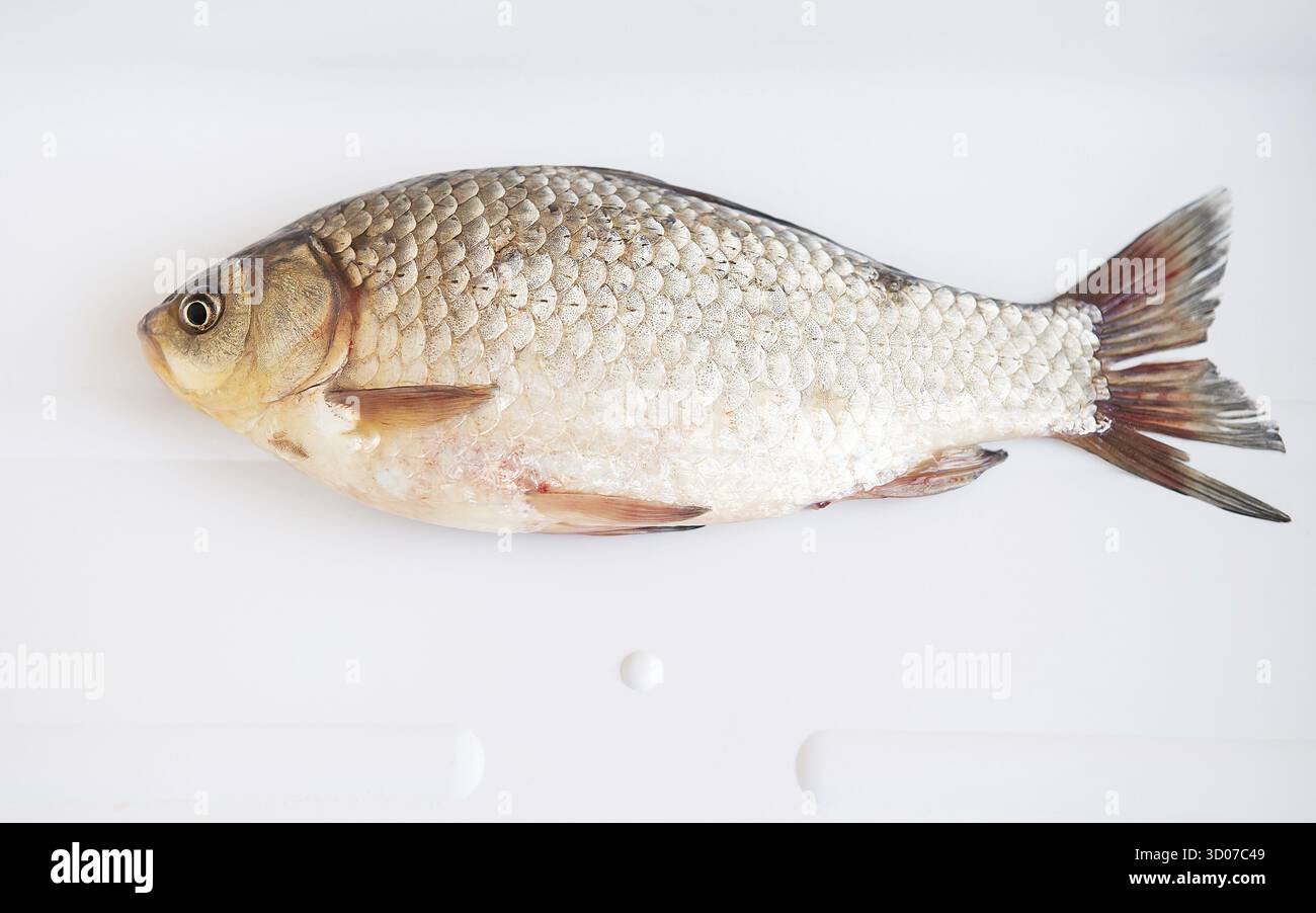 Trophy top down hi-res stock photography and images - Alamy