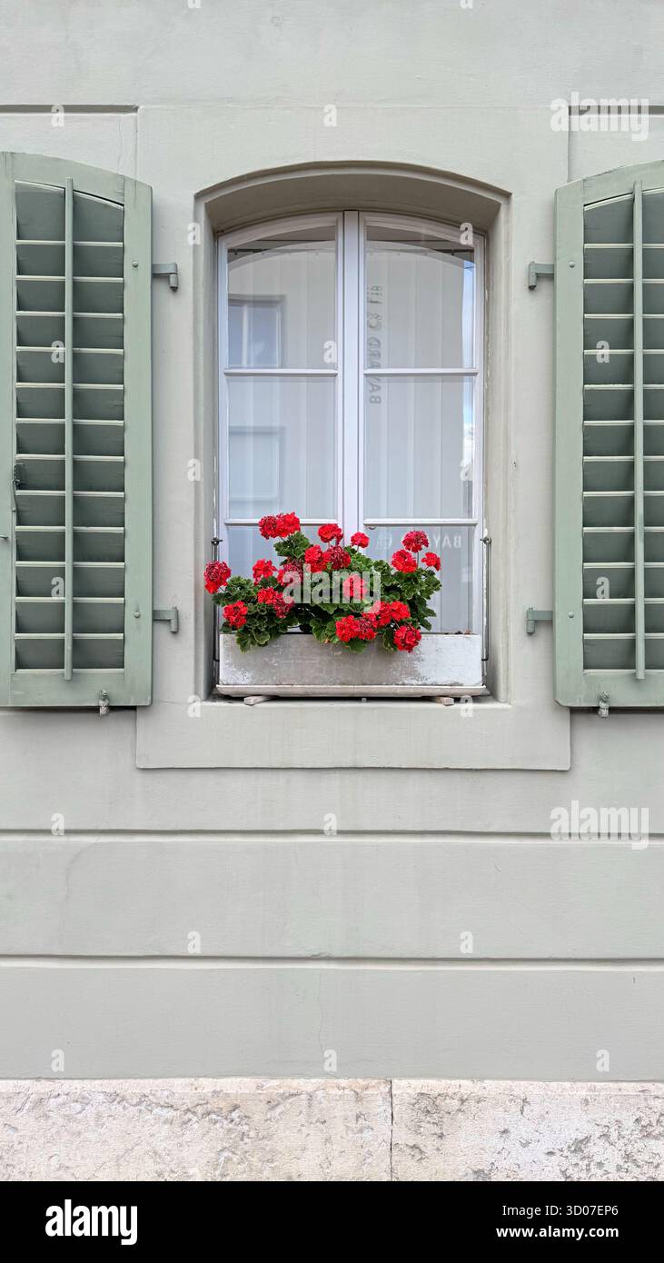 Window With Green Shutters and Red Flowers, European Architecture ...