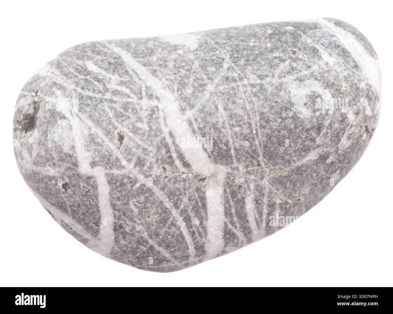 Oval pebble Cut Out Stock Images & Pictures - Alamy