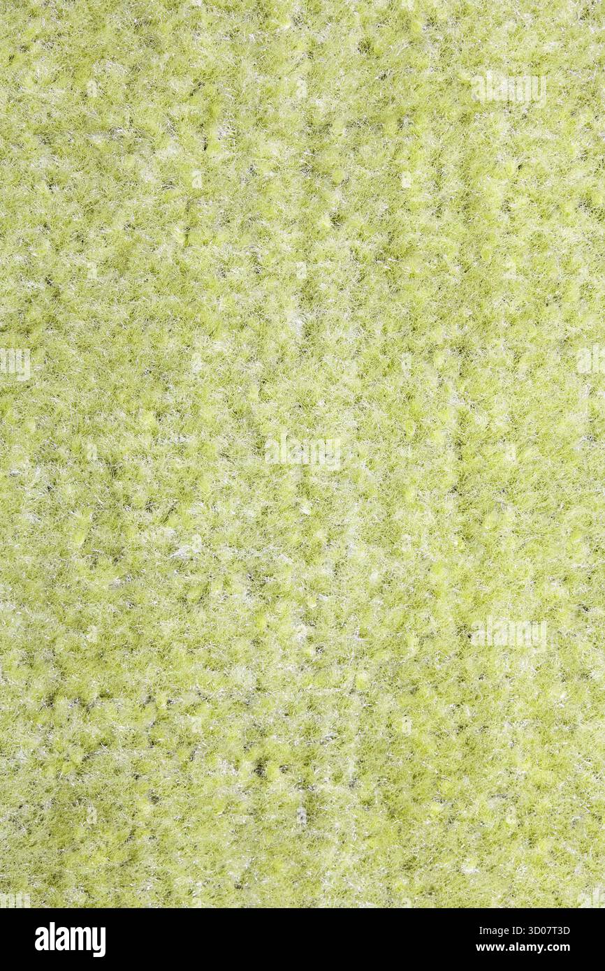 Green carpet texture Stock Photo - Alamy