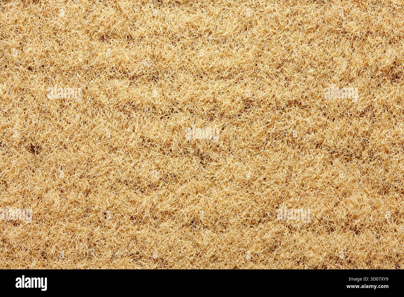 Dense coat texture hi-res stock photography and images - Alamy