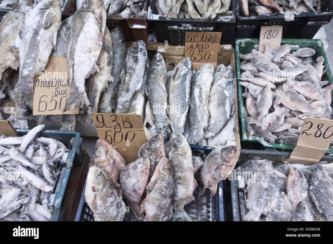 Raw frozen fish on a local market Stock Photo - Alamy