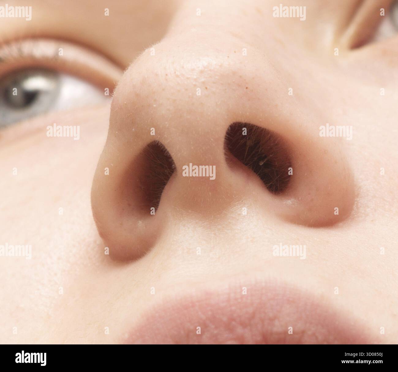 Human nose graphic hi-res stock photography and images - Alamy