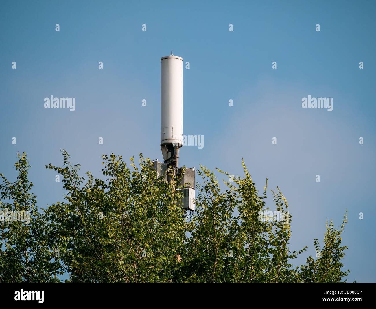A circular cellular antenna rises behind the treetops, standing out ...