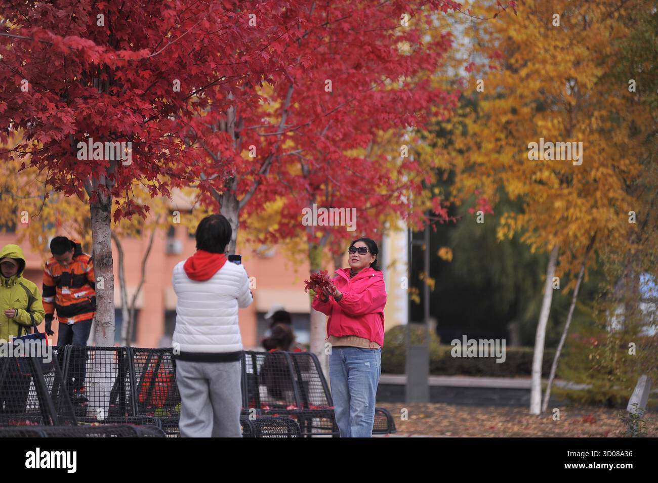 Autumn scenery attracts people in Harbin City, northeast China's ...