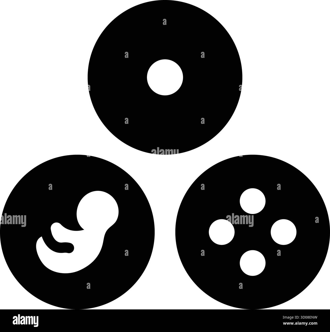 Blastocyst embryo Black and White Stock Photos & Images - Alamy