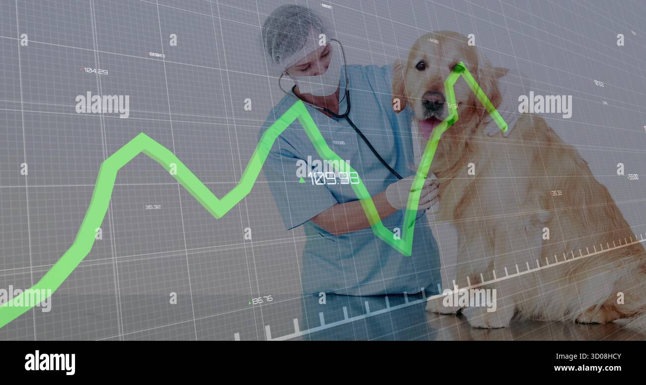 Examining vet using stethoscope on golden retriever at exam table, with ...