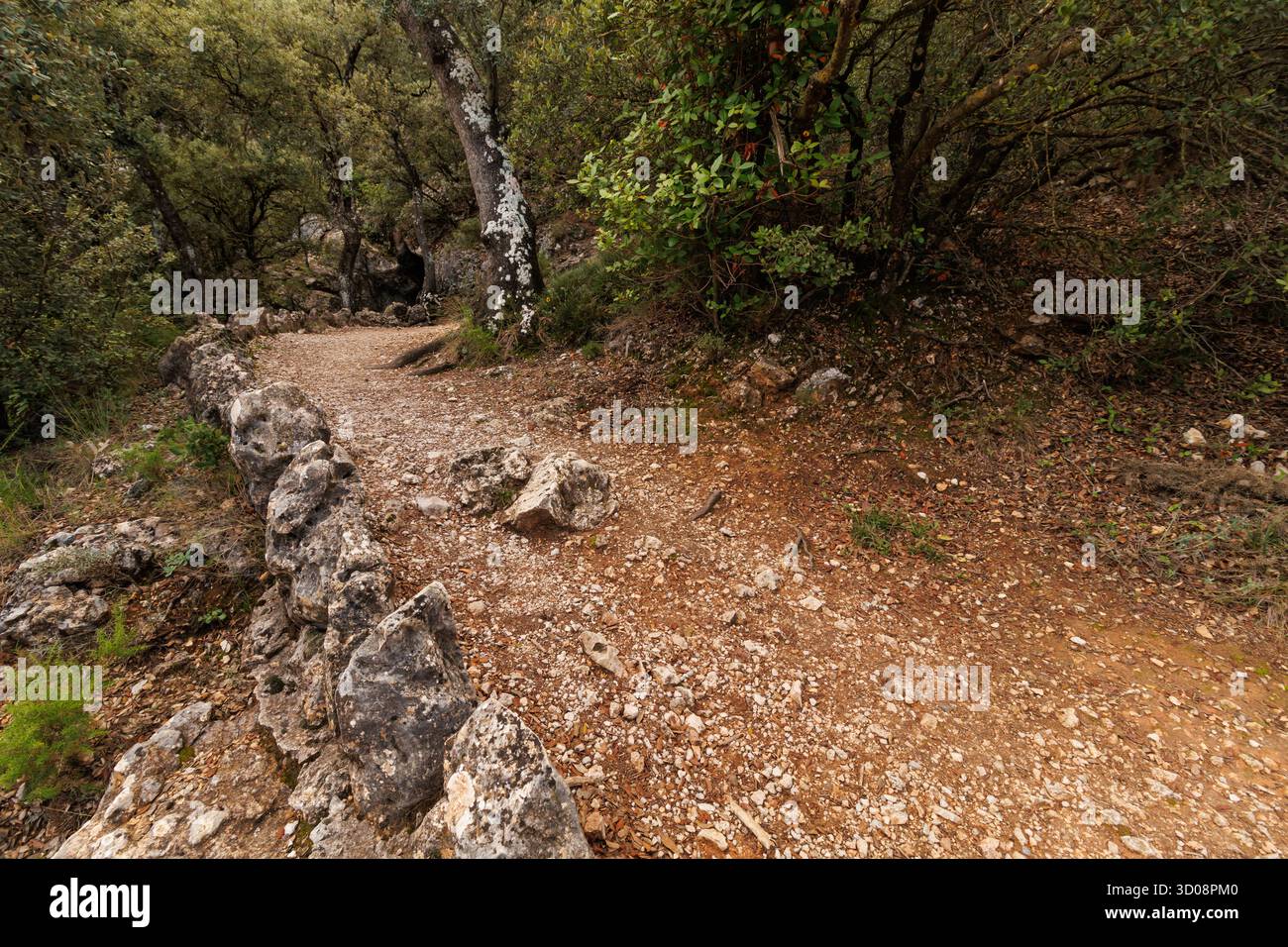 Rocks used to delimit the trail in the forest of Font Roja Natural Park ...