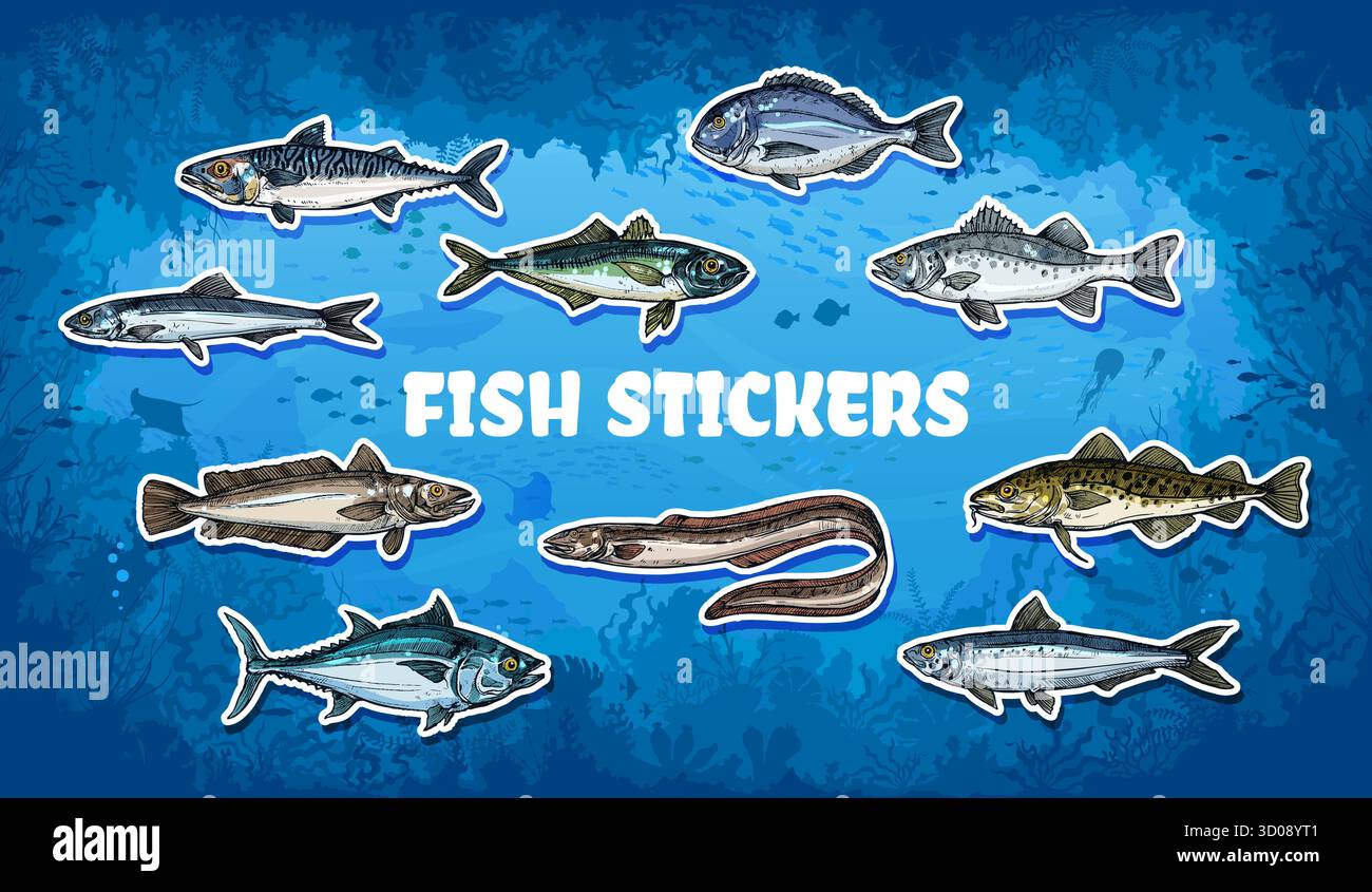School anchovy fish underwater Stock Vector Images - Alamy