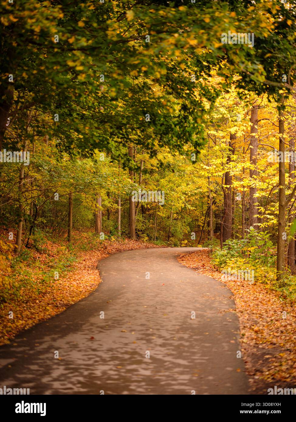 The Thames River Valley and Thames Valley Parkway lined with tall trees ...