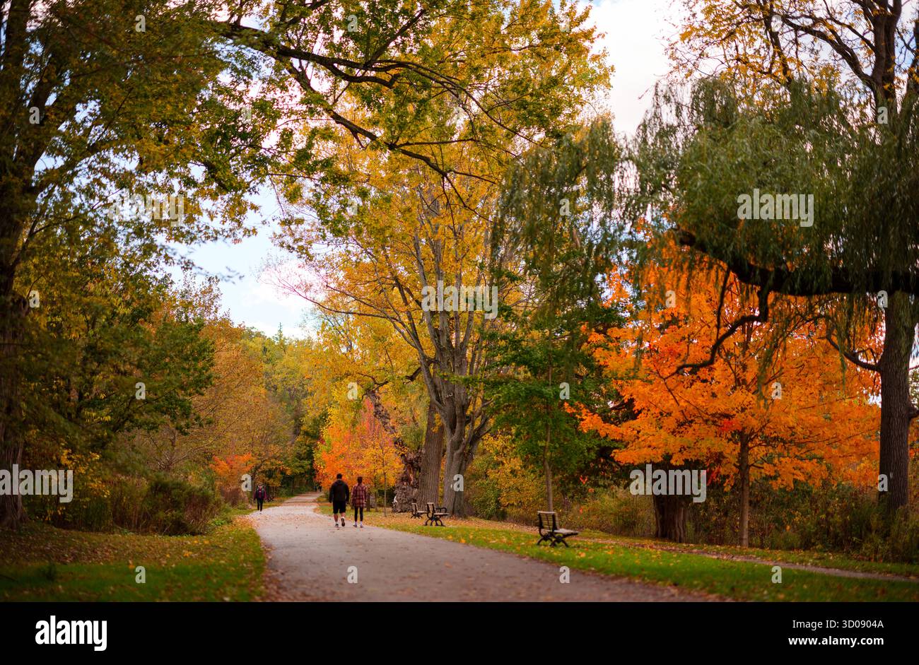 The Thames River Valley and Thames Valley Parkway lined with tall trees ...