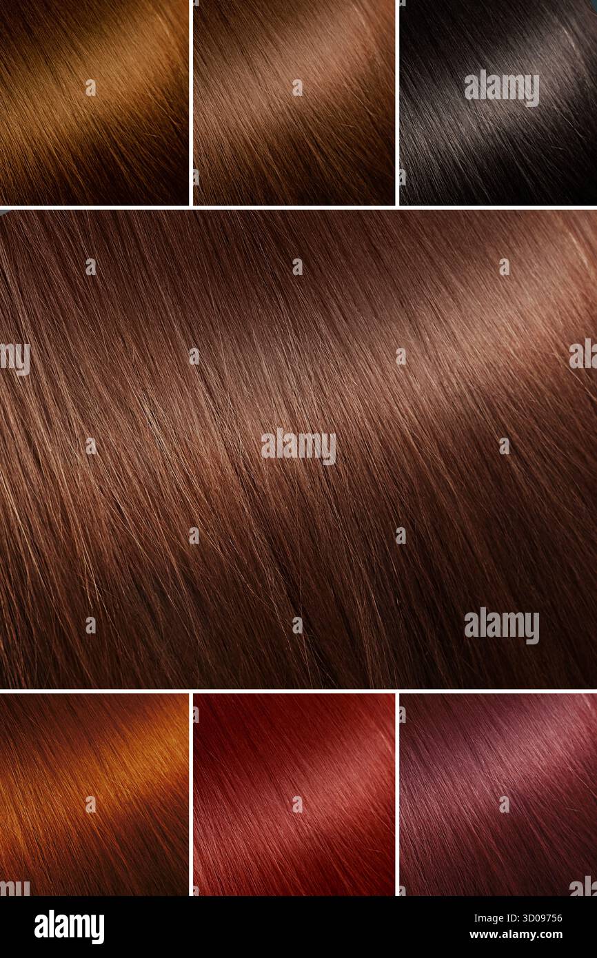 Color chart for tints. Hair color palette with a wide range of swatches ...