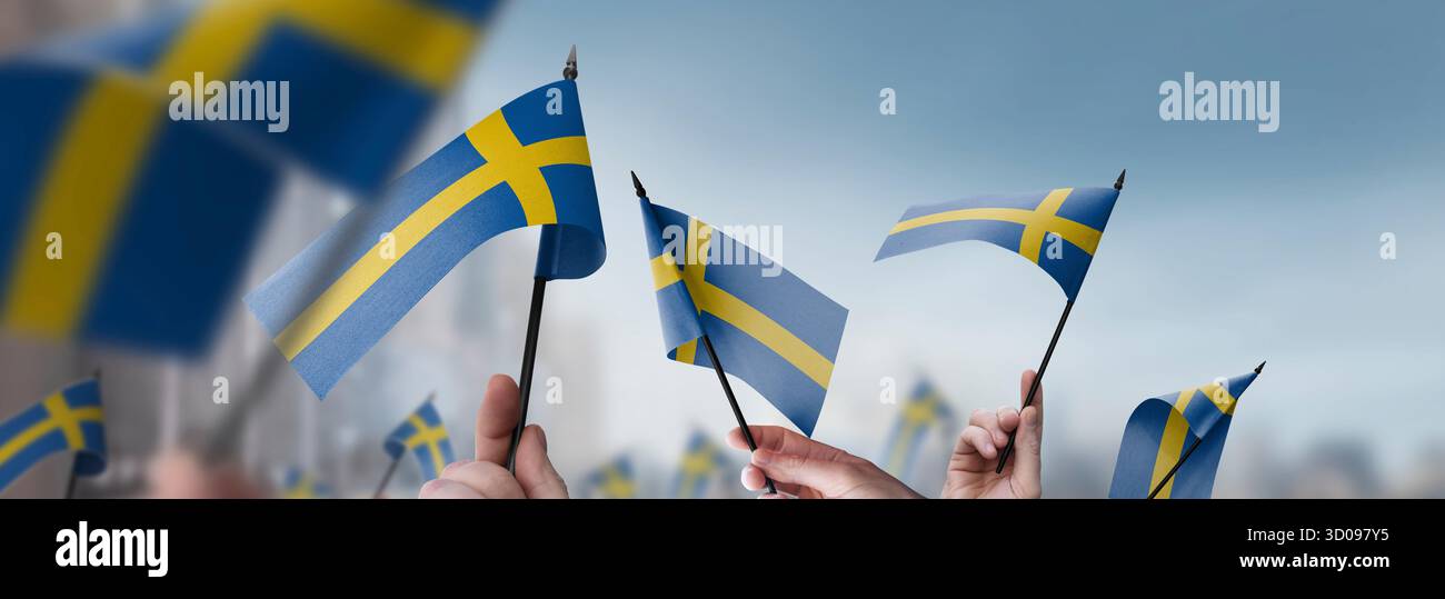 Sweden flags in their hands on a blurred urban background Stock Photo ...