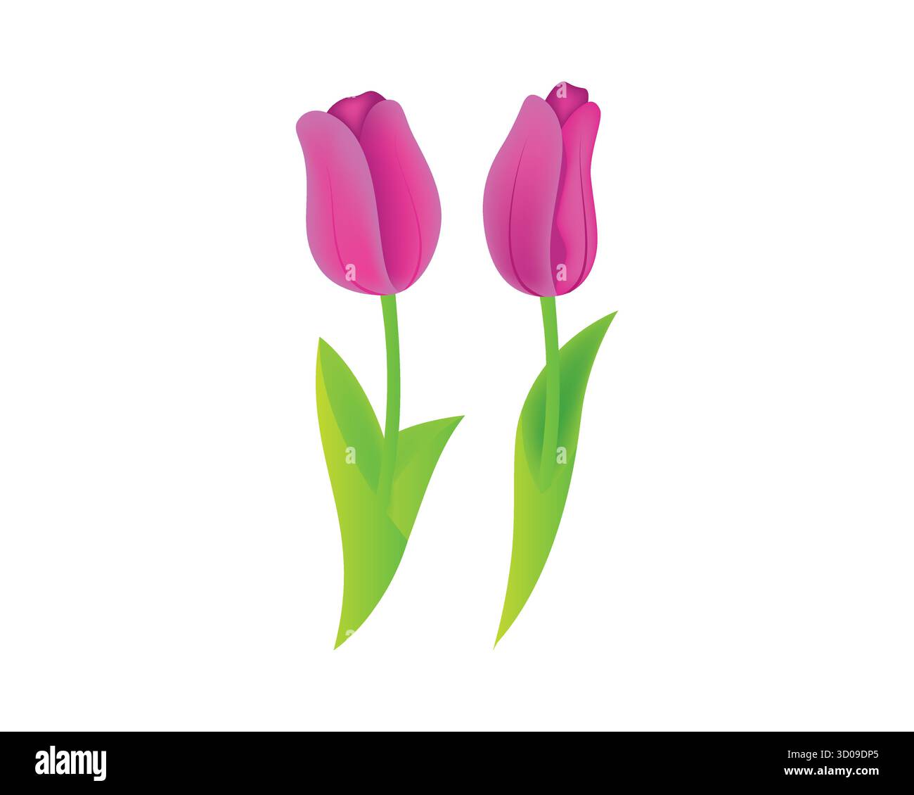 Spring garden red tulips Stock Vector Images - Alamy