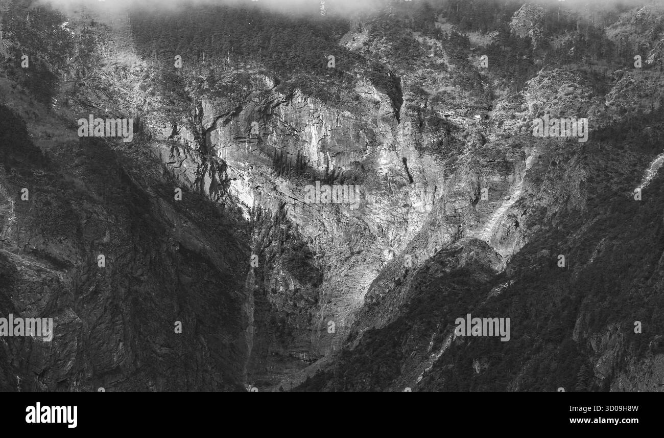 Rugged forest Black and White Stock Photos & Images - Alamy