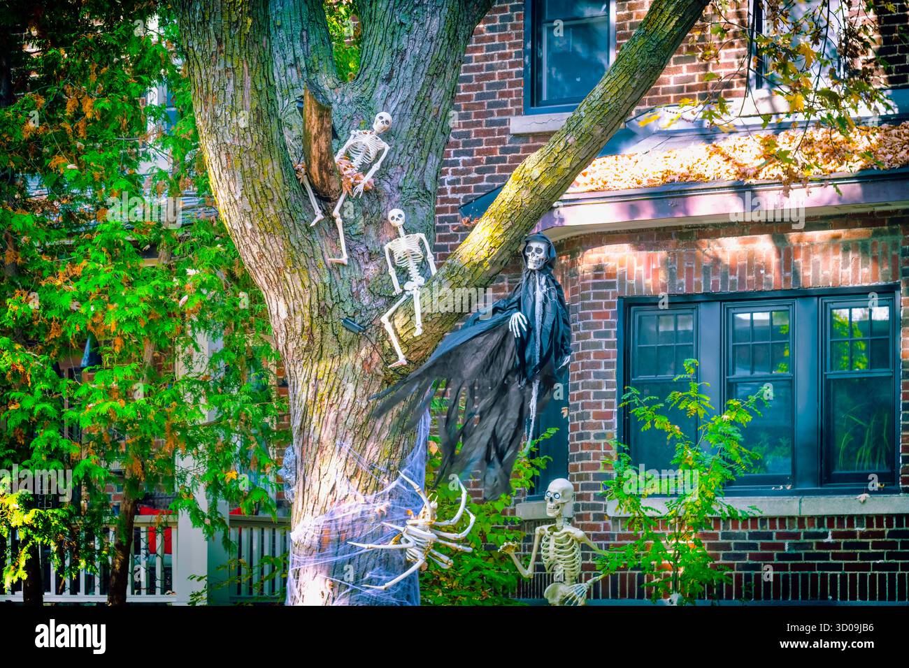 Vibrant halloween 2025 hi-res stock photography and images - Alamy