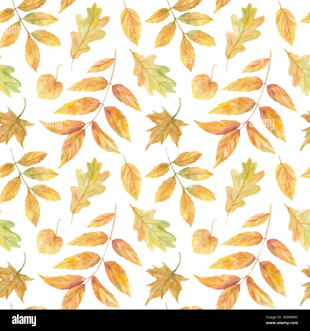 Seamless autumn leaves pattern fall season colors Cut Out Stock Images ...