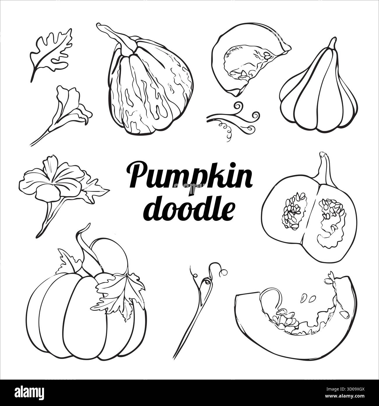 Pumpkin design autumn season Black and White Stock Photos & Images - Alamy