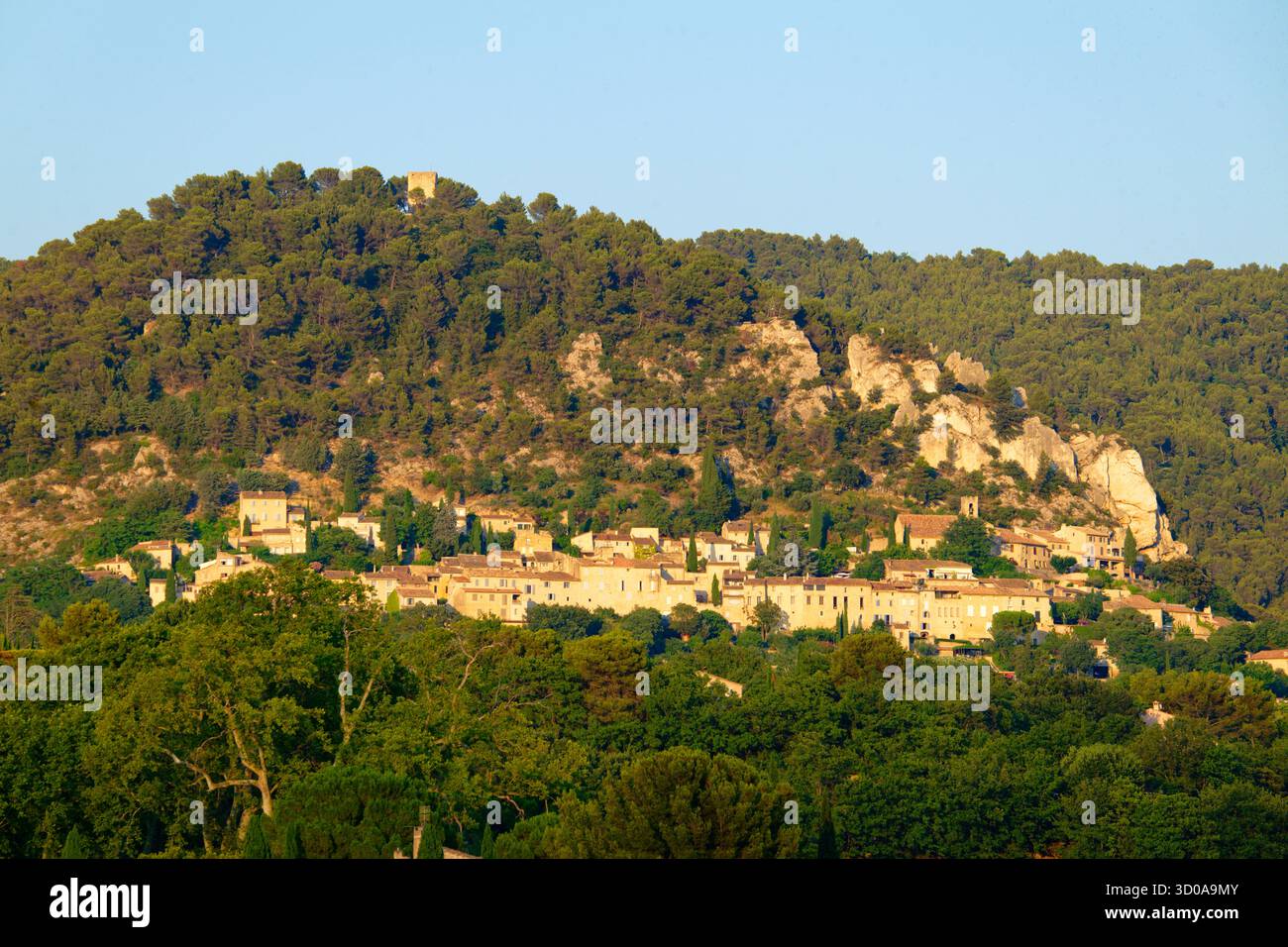 France, Vaucluse, Pays des Dentelles de Montmirail district, the ...