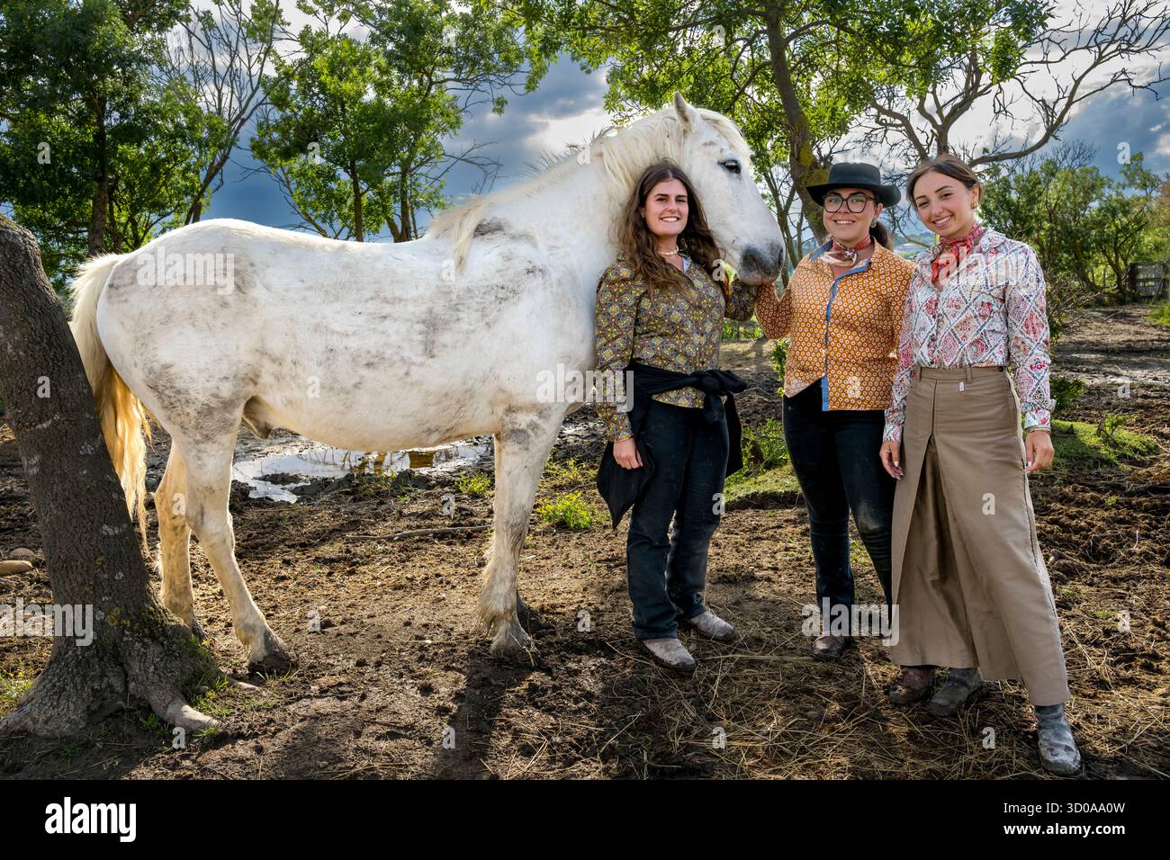 France, Gard, Saint Gilles du Gard, Pierre Aubanel & son manade (cattle ...