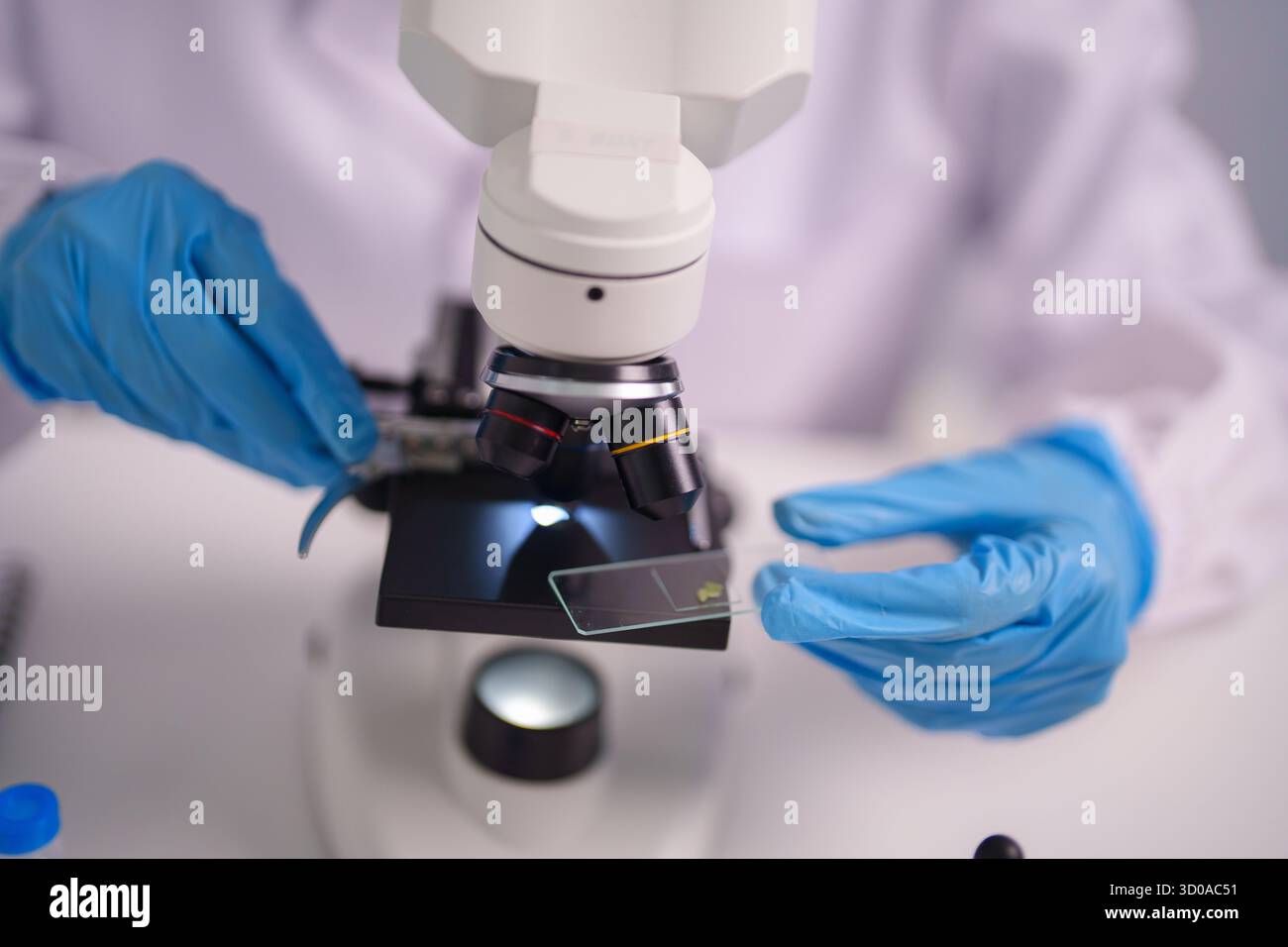 Adult hands in blue gloves adjust specimen slide under microscope ...
