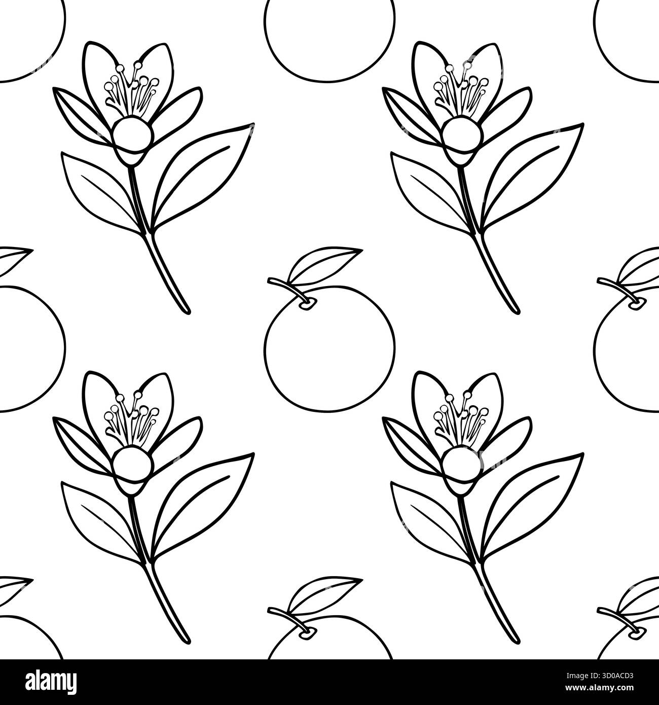 Orange blossoms Black and White Stock Photos & Images - Alamy