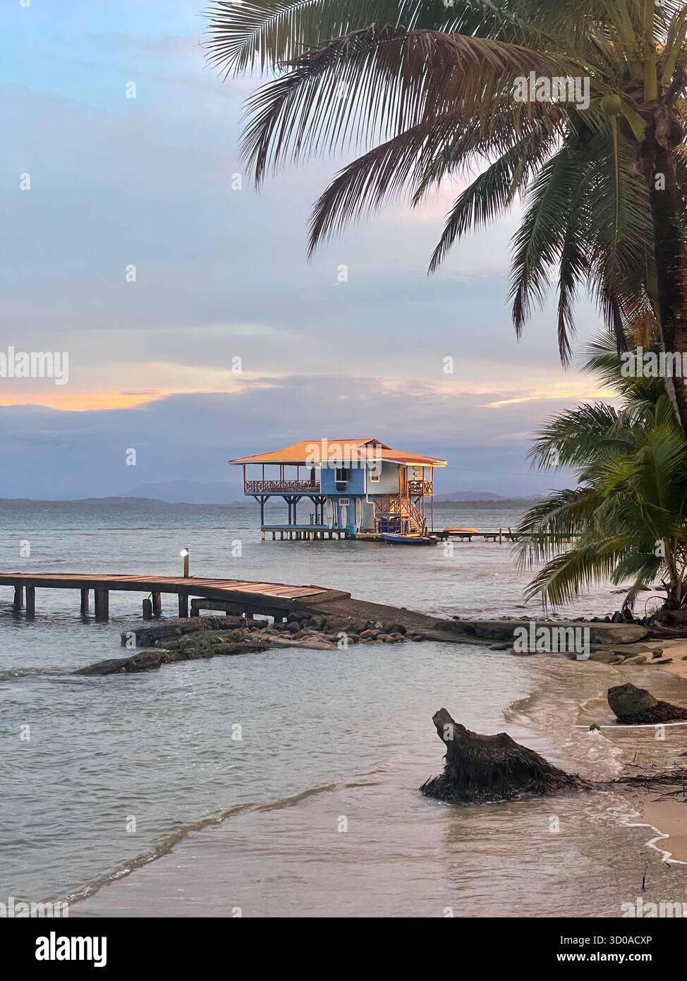 Palm trees on a sandy beach in Bocas del Toro, Panama at sunset. Wooden ...