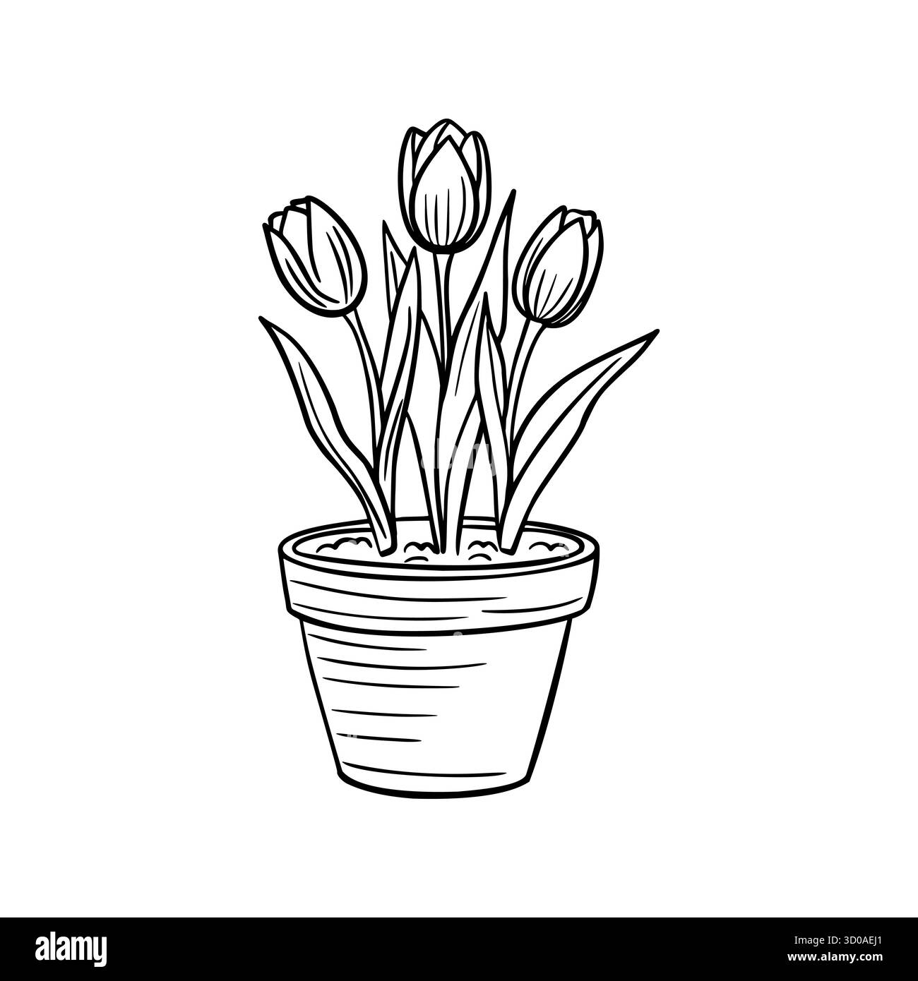 Elongated flower Black and White Stock Photos & Images - Alamy