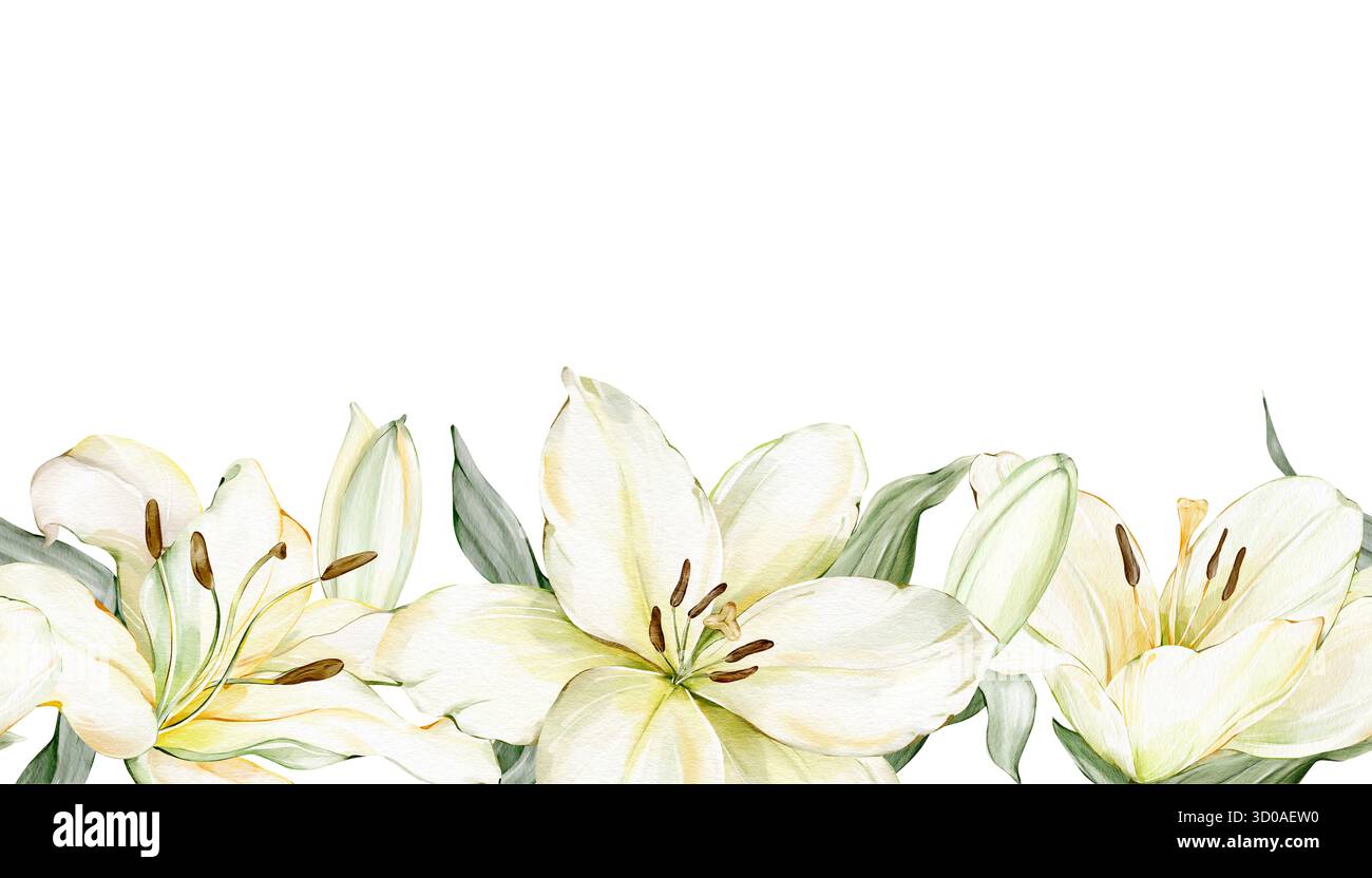 Seamless horizontal floral border with white lilies. Watercolor hand ...