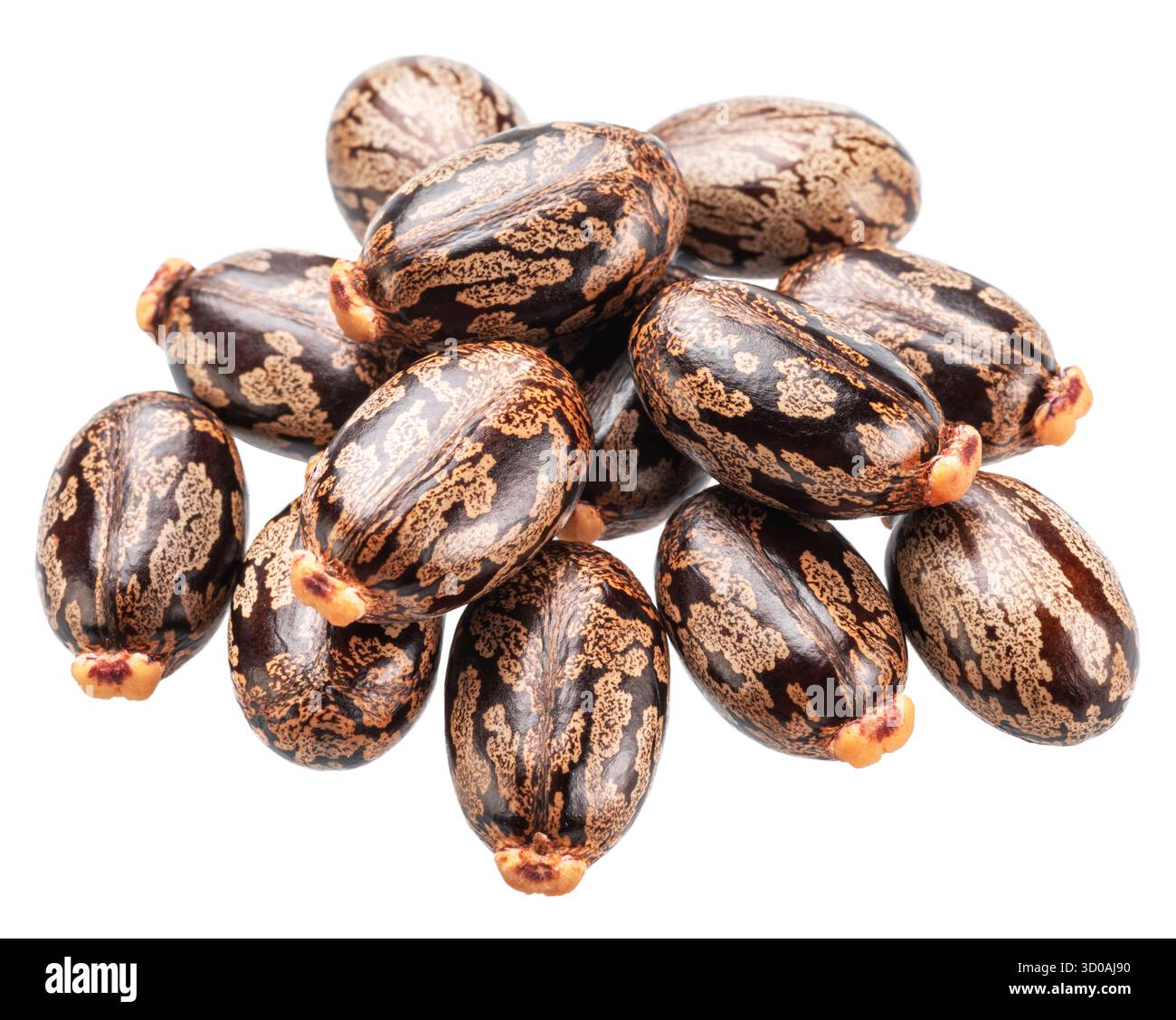 Bean shaped mottled glossy hi-res stock photography and images - Alamy