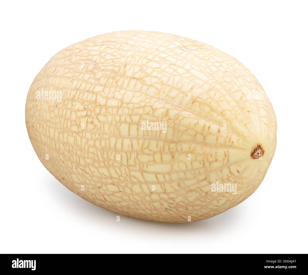 White oval melon isolated on white background. File contains clipping ...