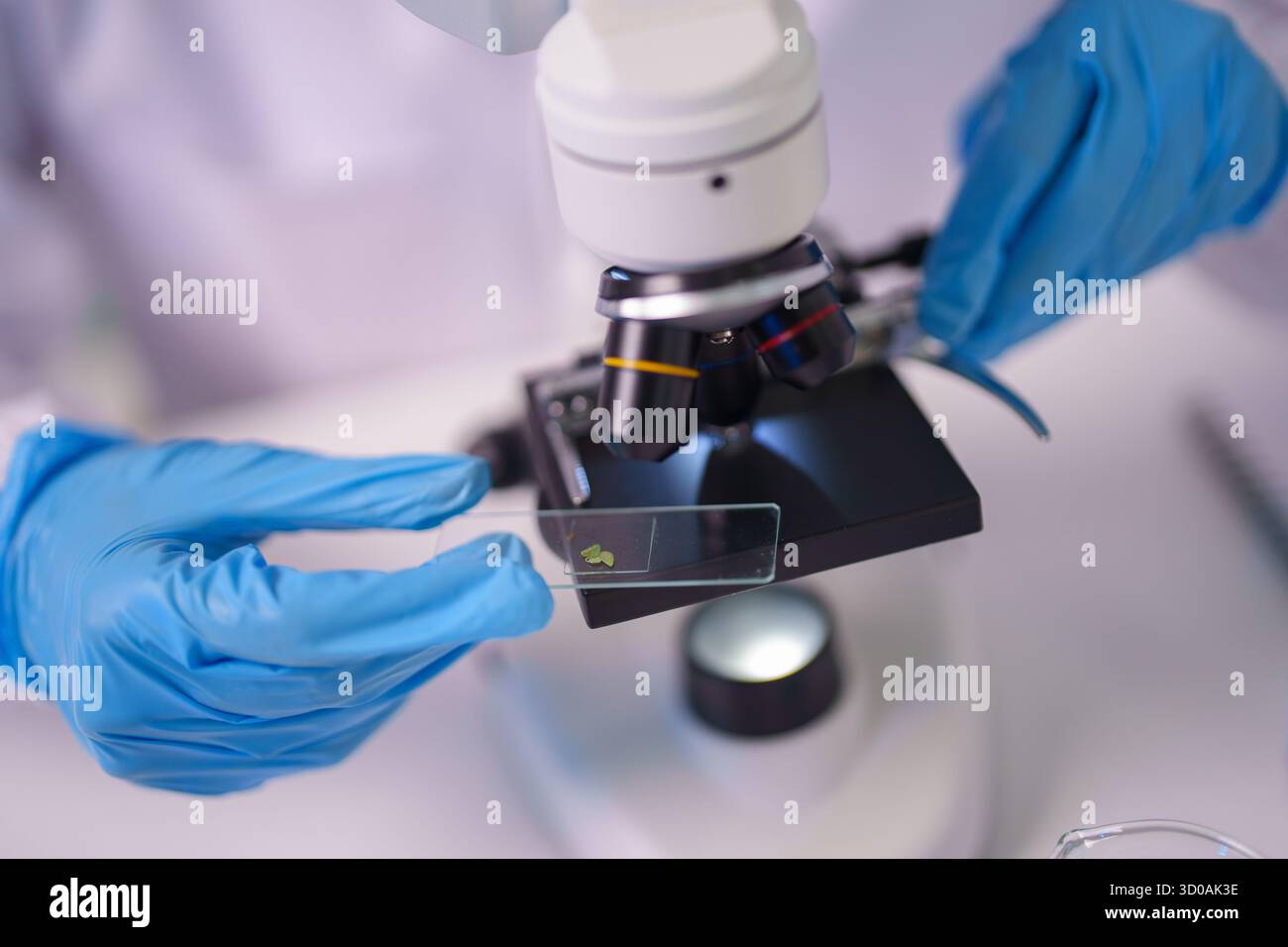Professional conducting careful observation using laboratory microscope ...