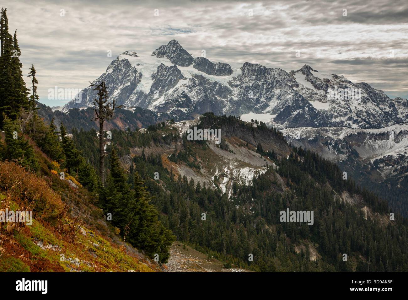 Mount baker wildeness hi-res stock photography and images - Alamy