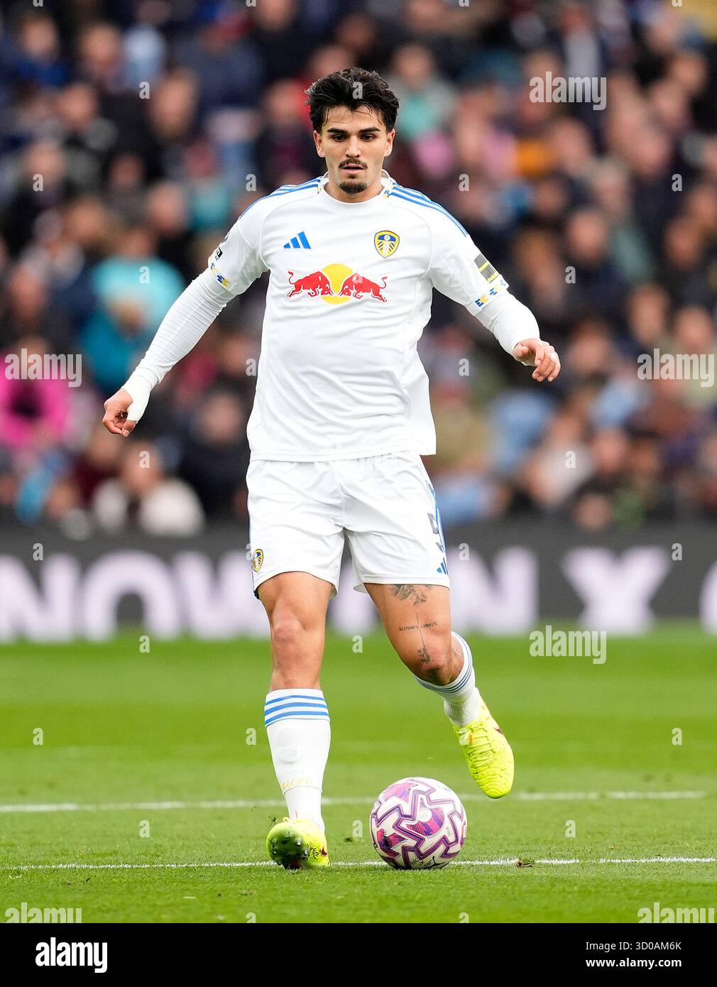 Leeds United's Pascal Struijk during the Premier League match at Turf ...