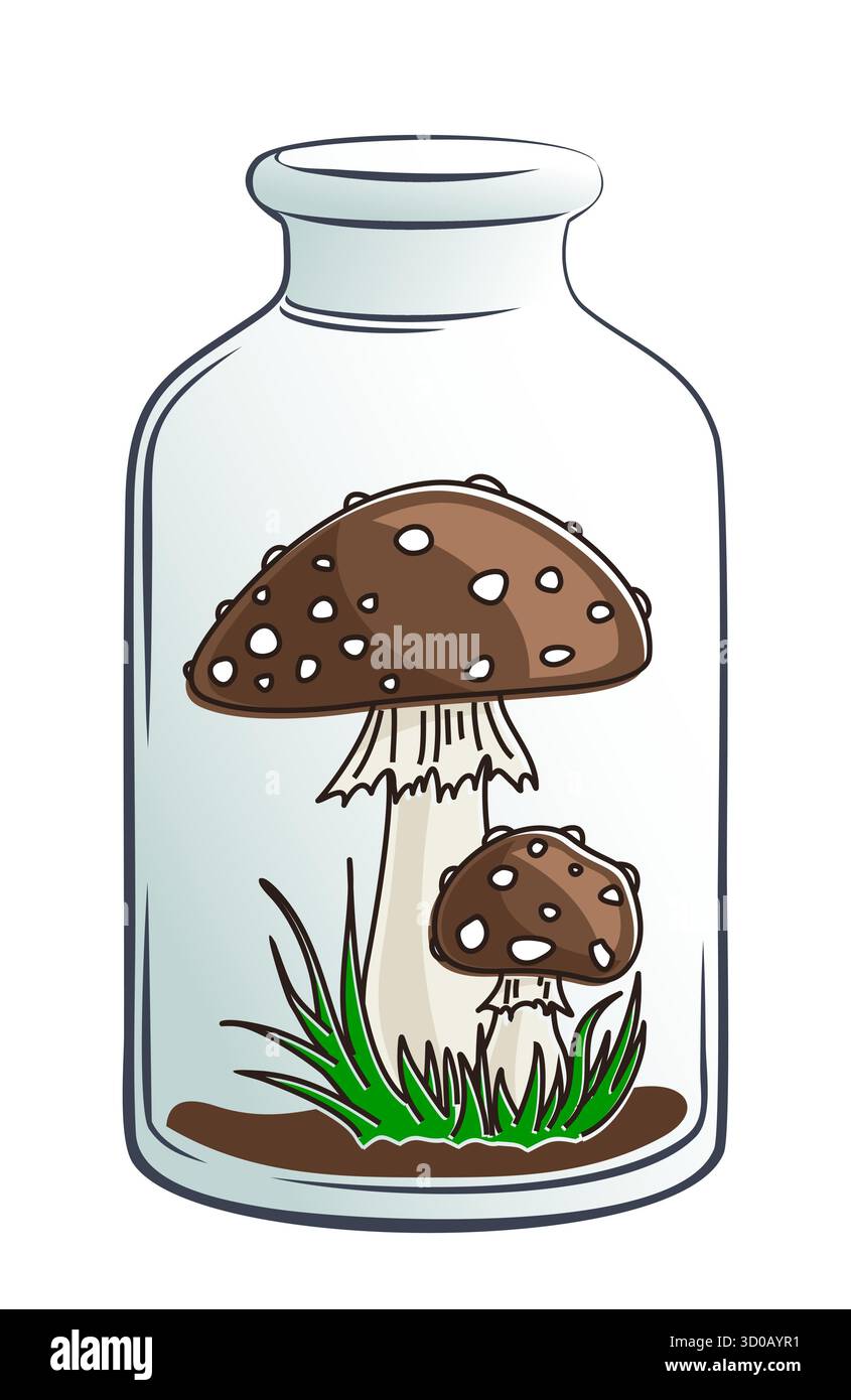 Fly amanita mushroom in forest Stock Vector Images - Alamy